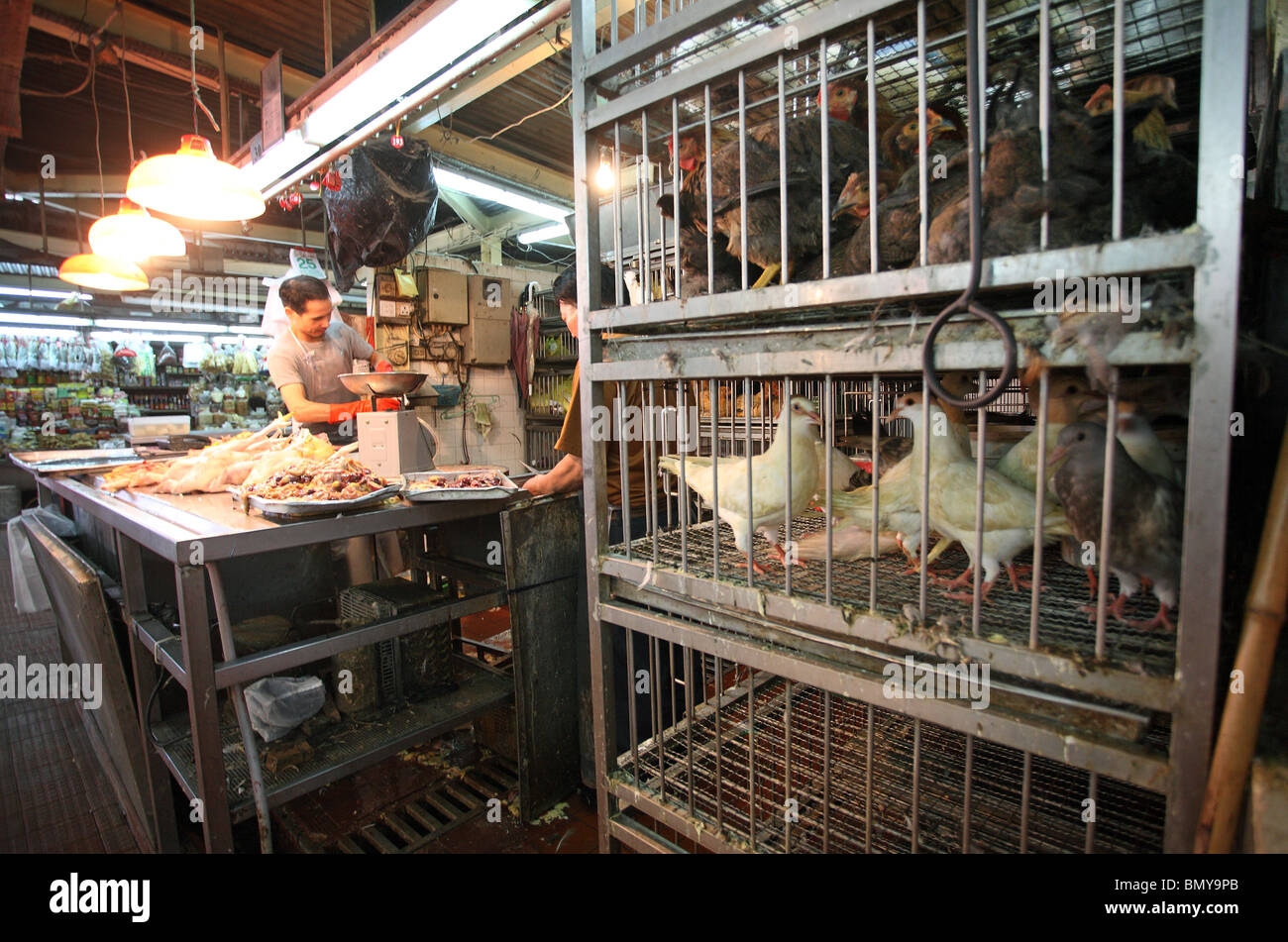 Poulterer hi-res stock photography and images - Alamy