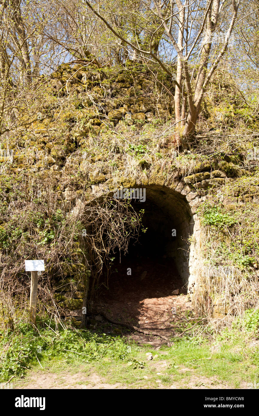 An old lime kiln in Gratton Dale, a limestone valley in the Derbyshire ...