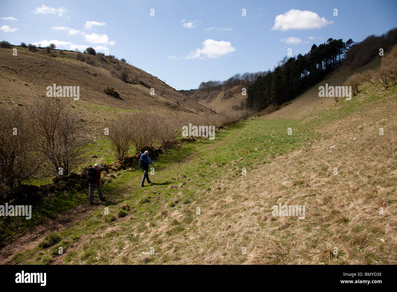 Gratton Dale, a limestone valley in the Derbyshire Peak District Stock ...