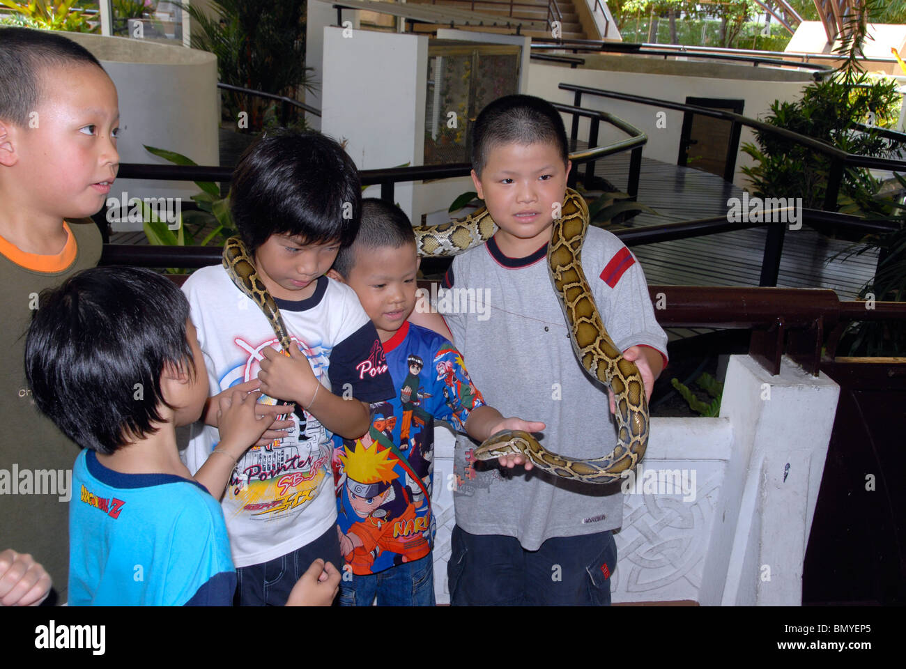 Snake Handling Thailand High Resolution Stock Photography and Images ...