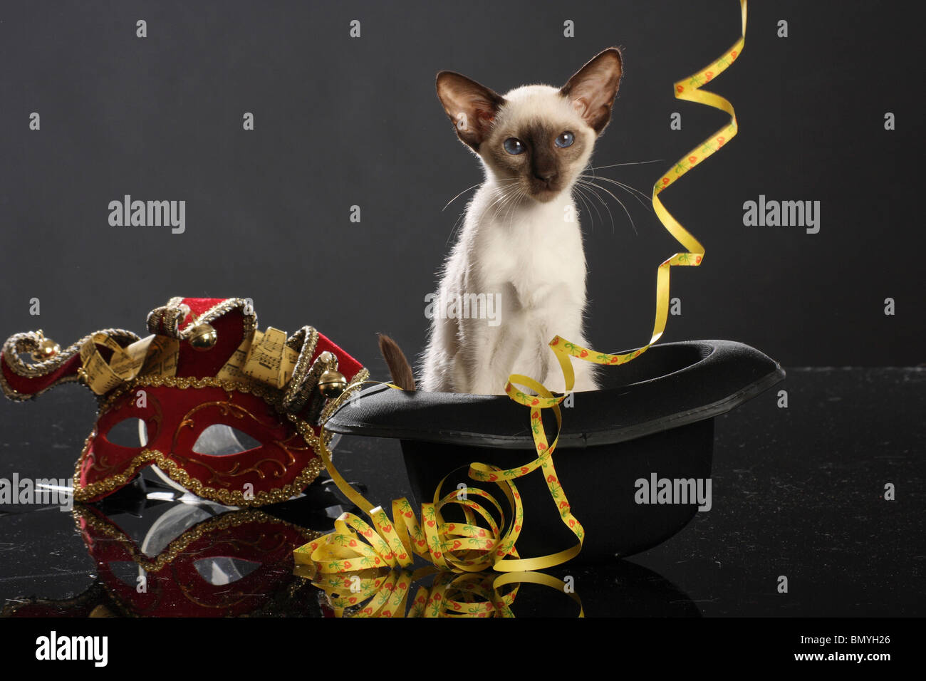 Party hats hat streamer streamers hi-res stock photography and images ...