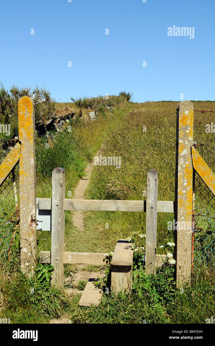 Stile hi-res stock photography and images - Alamy