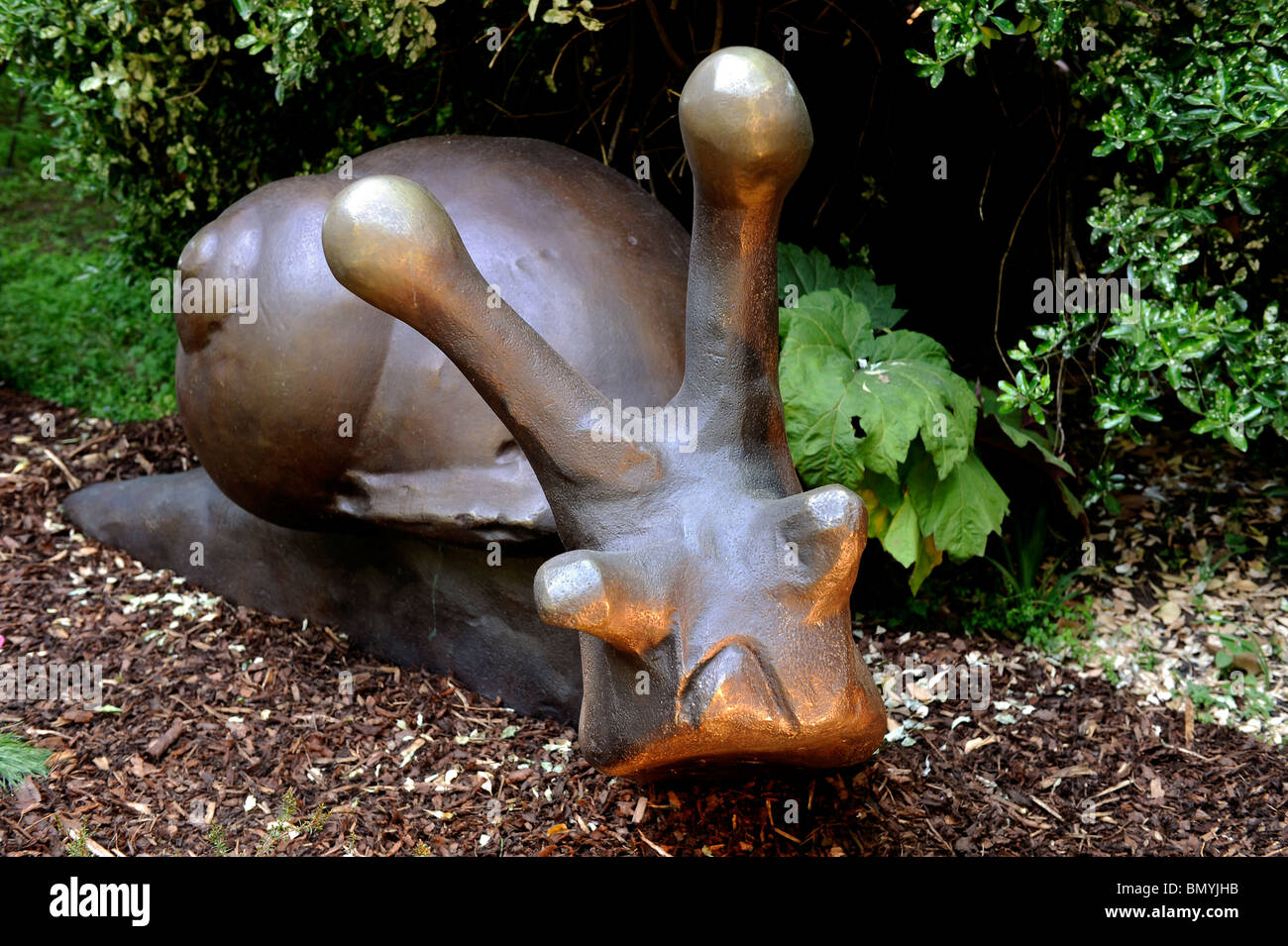 Large garden snails hi-res stock photography and images - Alamy