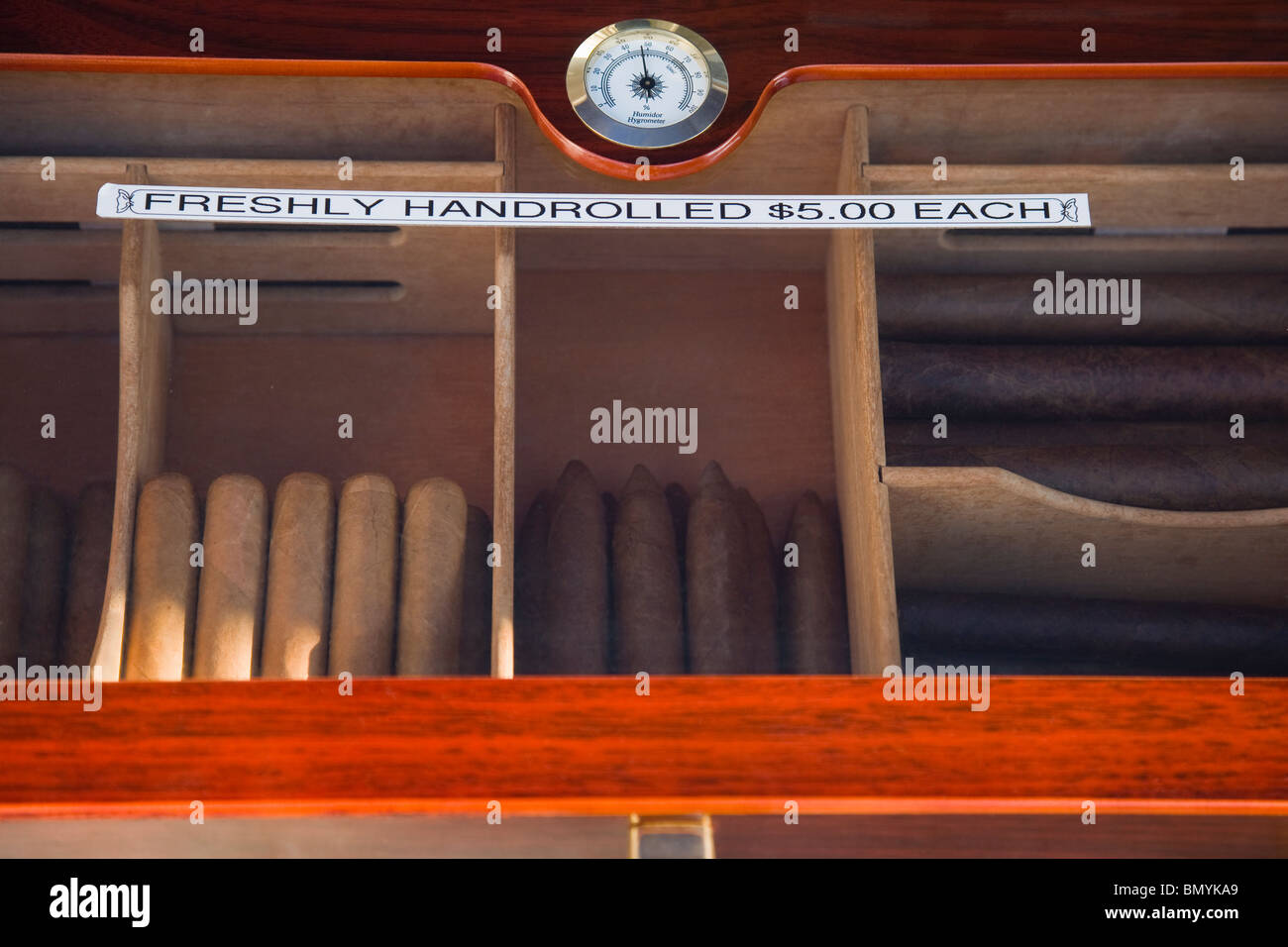 Hand rolled cigars in a box, Tarpon Springs, Florida, USA Stock Photo ...