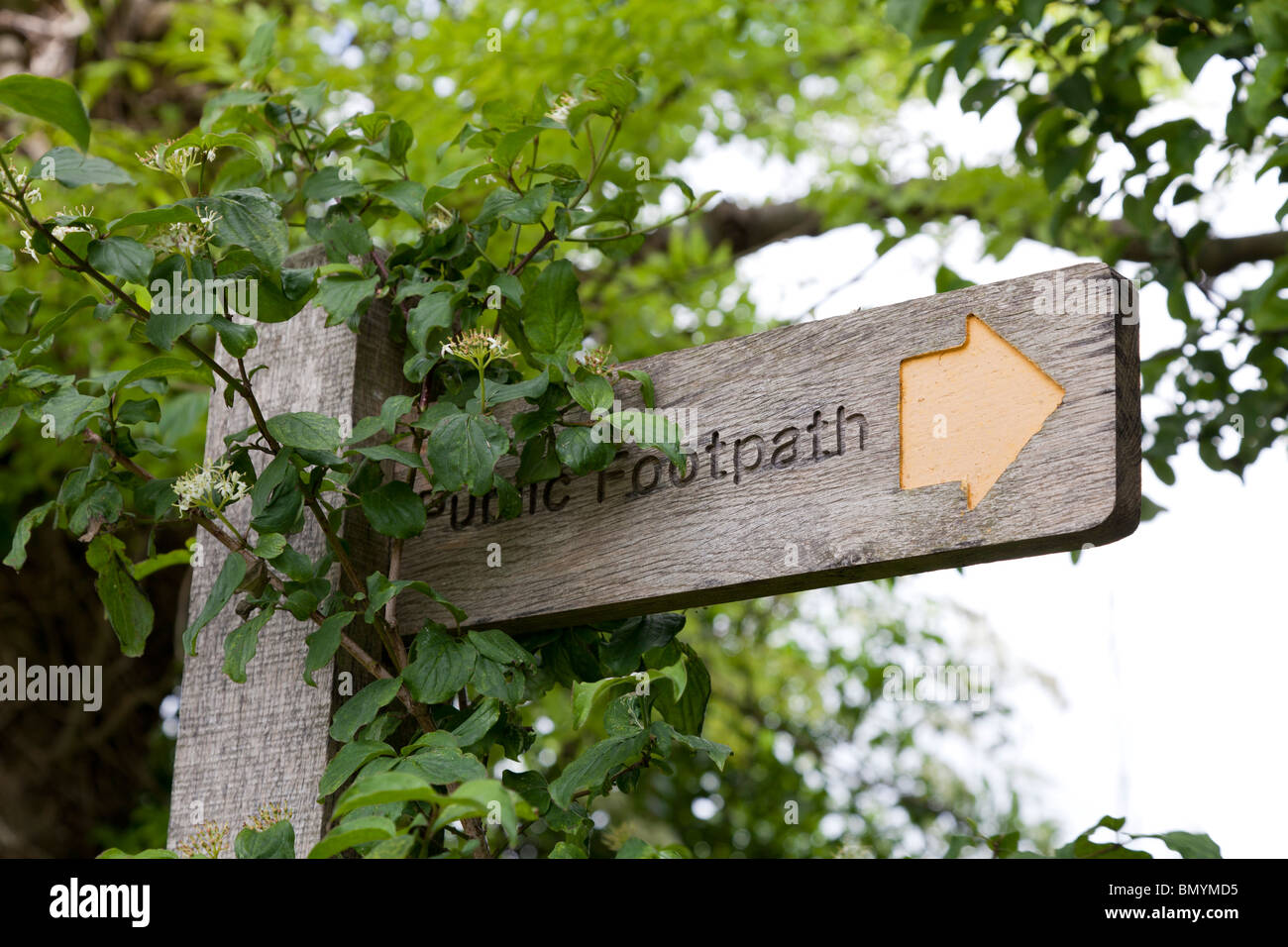 Wooden sign posts, uk hi-res stock photography and images - Alamy