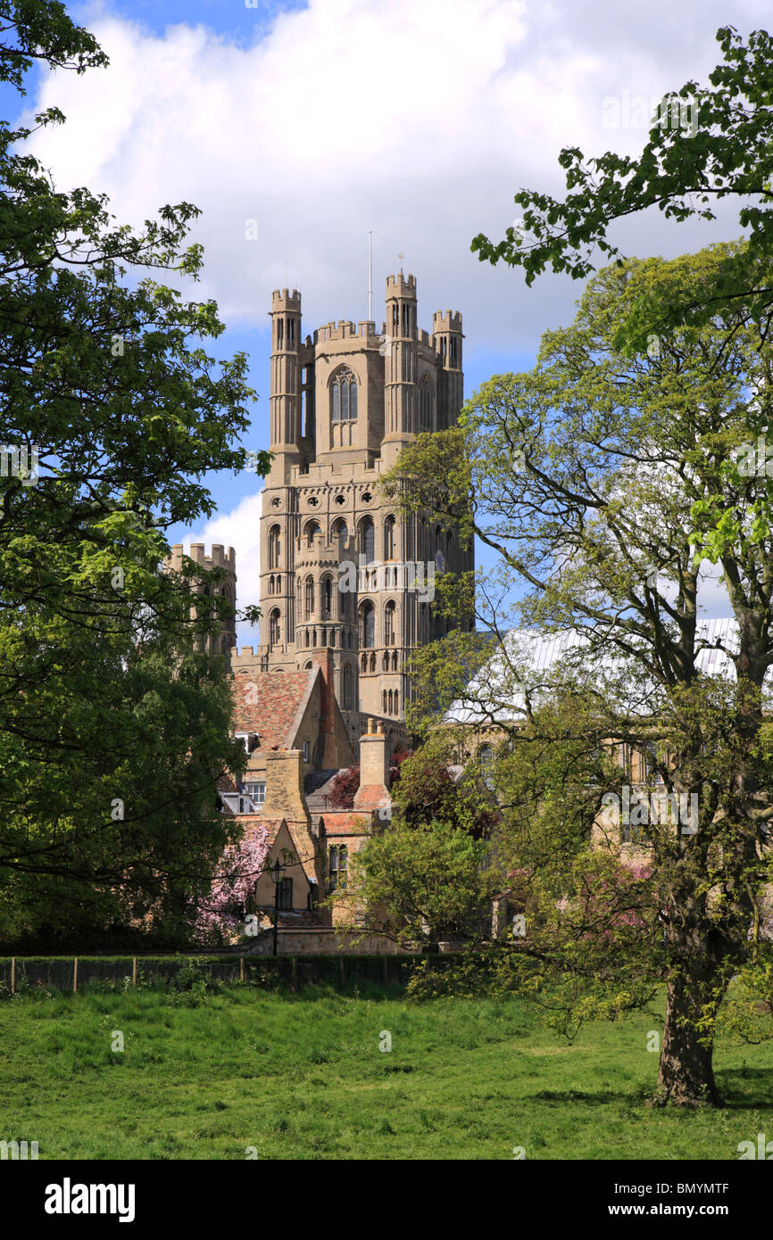 Ely cathedral ely england hi-res stock photography and images - Alamy