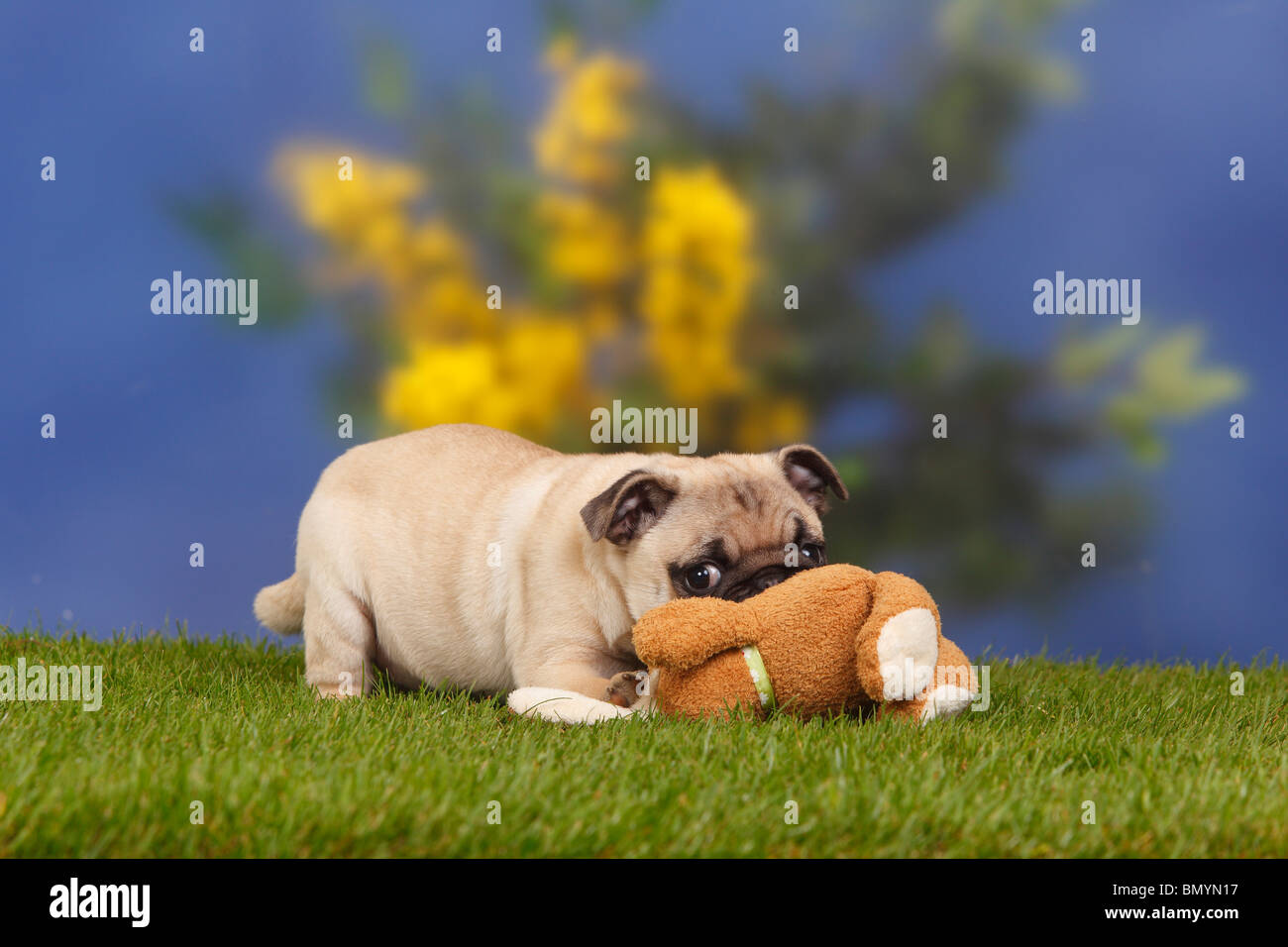 Cuddle horizontal hi-res stock photography and images - Alamy