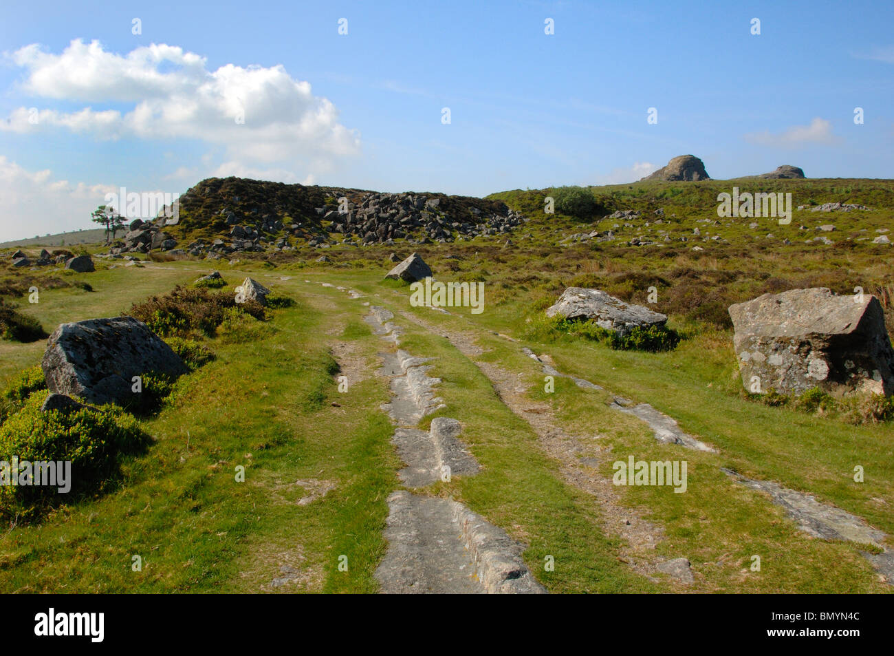 Stone Rail lines of the Templer way below Haytor, Dartmoor National ...