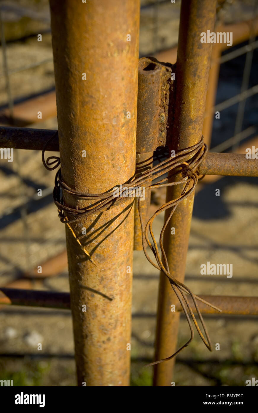 Rusted Metal Pipe Used for Fencing Stock Photo - Alamy