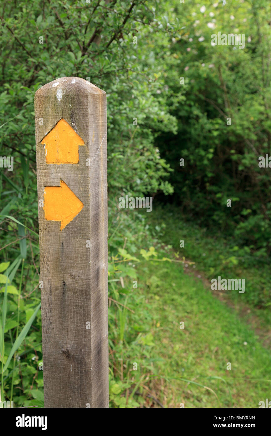 footpath stile from track to field with yellow and blue direction ...