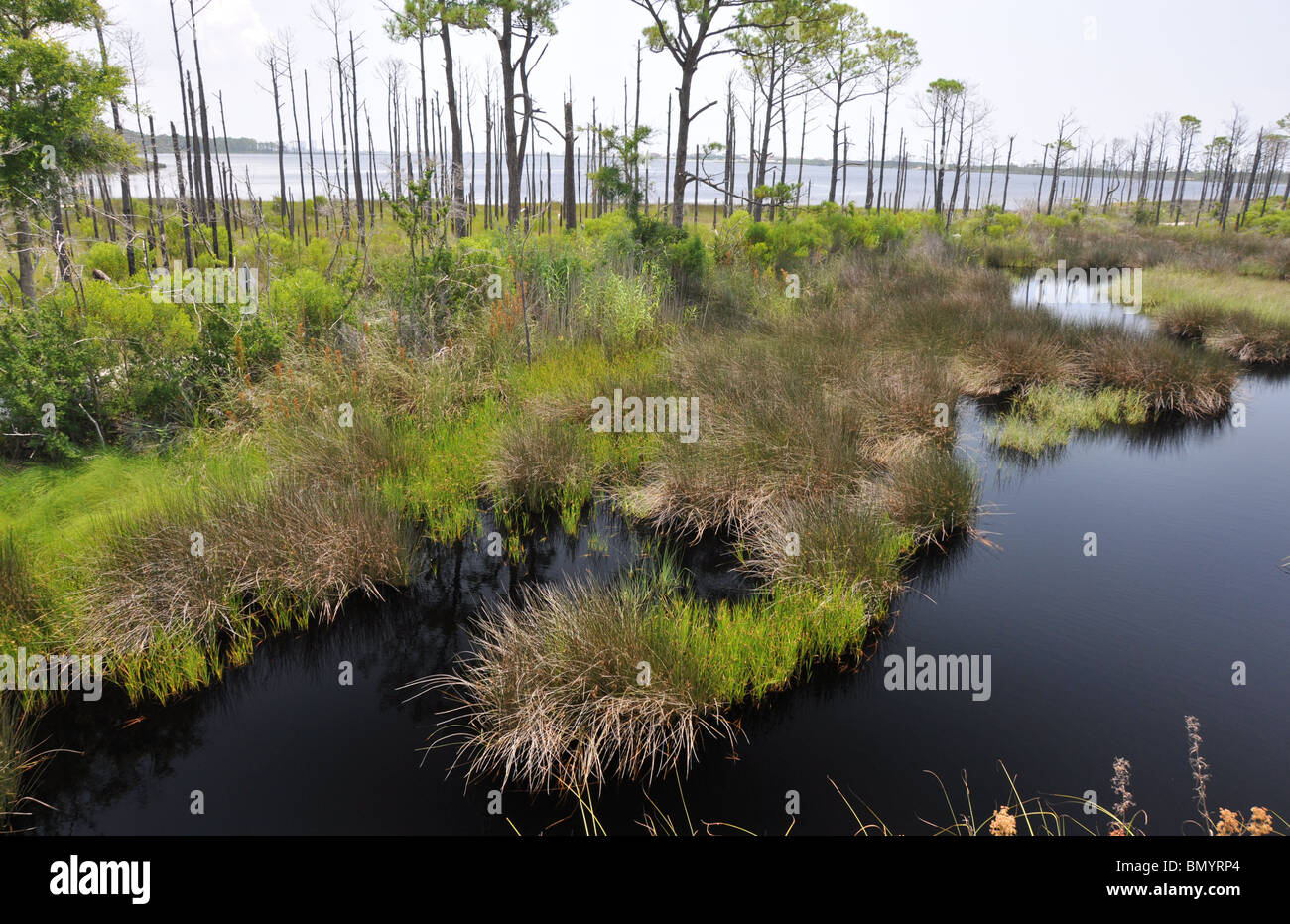 Bon secour bay hi-res stock photography and images - Alamy