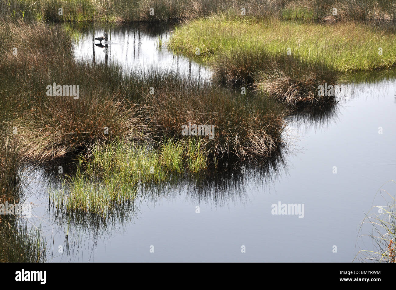 Bon Secour National Wildlife Refuge in Gulf Shores, Alabama Stock Photo ...