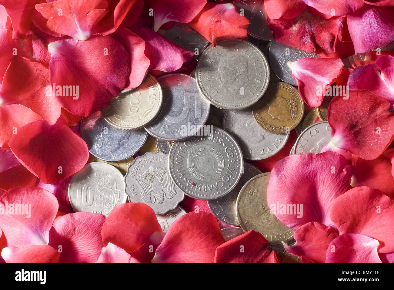 Rose and nature exchange hi-res stock photography and images - Alamy
