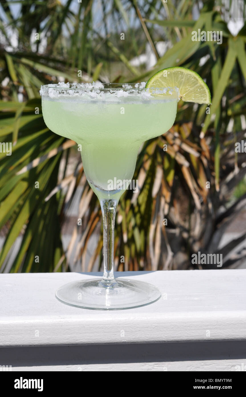 Margarita with lime slice garnish. Palm tree in background Stock Photo ...
