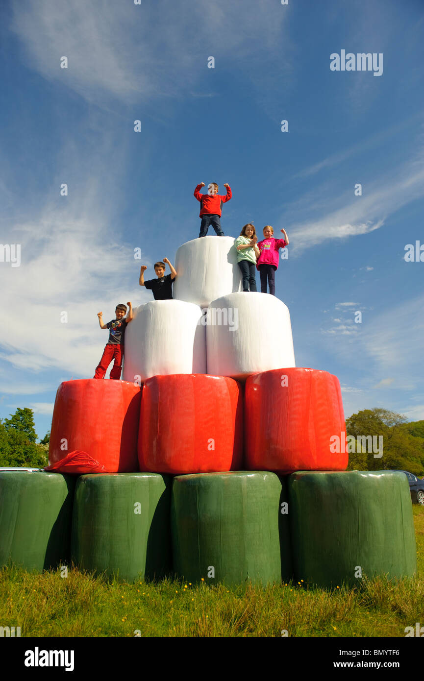 Urdd Logo Montage 100 © Urdd Gobaith Cymru