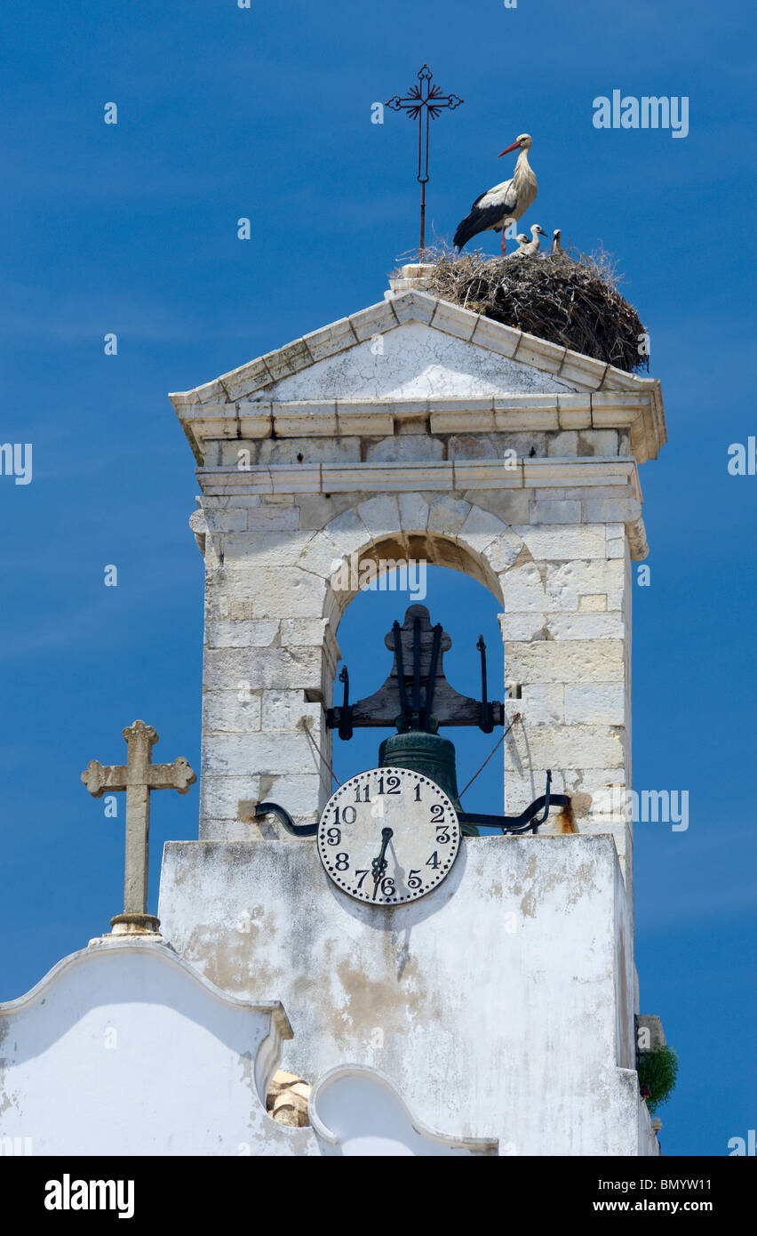 Portugal, the Algarve, Faro, Storks' nests on the Arco da Vila bell ...