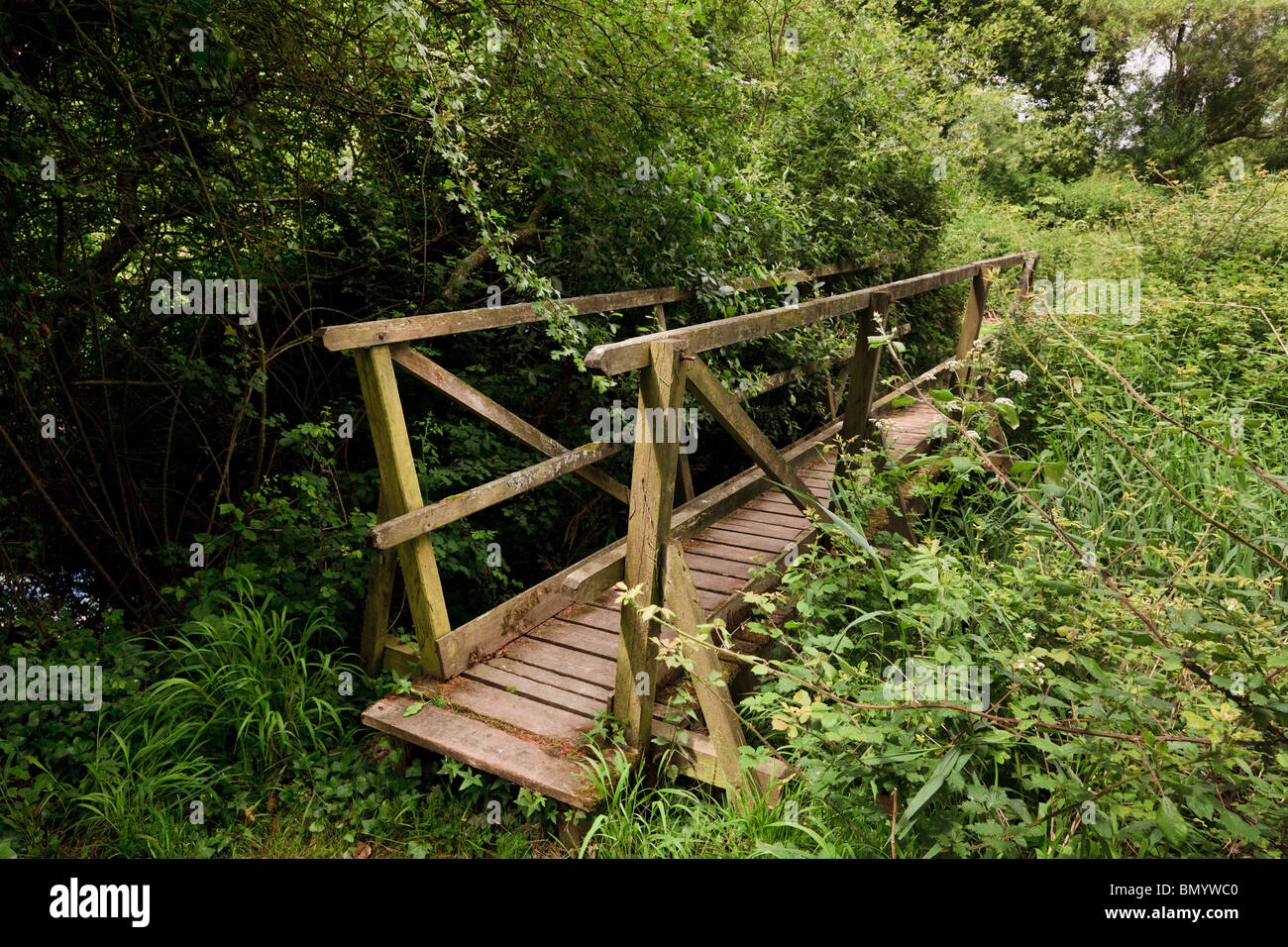overgrown footpath bridge across stream Stock Photo - Alamy