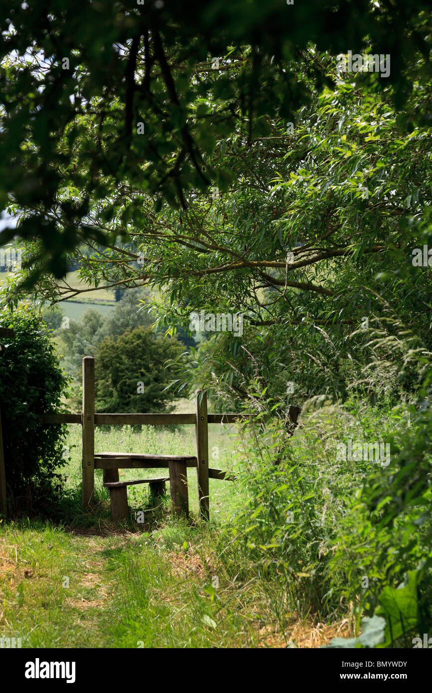 footpath stile into field under tree Stock Photo - Alamy