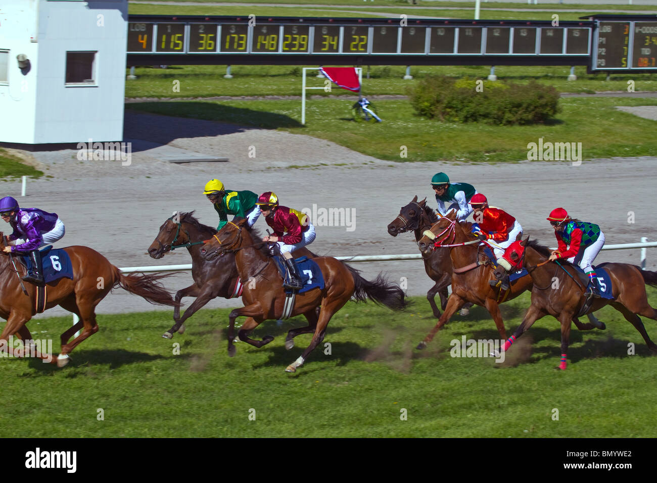 Gallop horse field passing scoreboard and tower. Horizontal Stock Photo ...