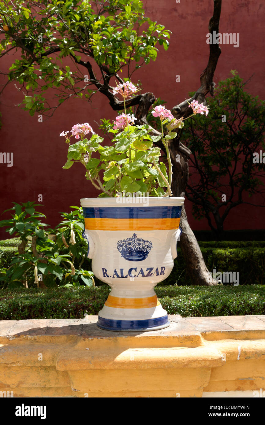Ceramic plant pot with geranium and royal crest at the Real Alcazar in ...
