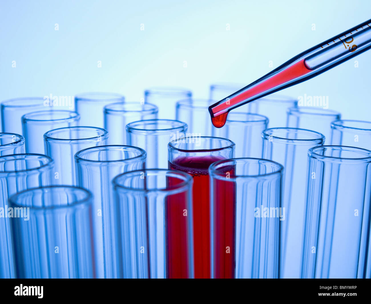 Close up of test tubes and pipette with a red liquid Stock Photo - Alamy