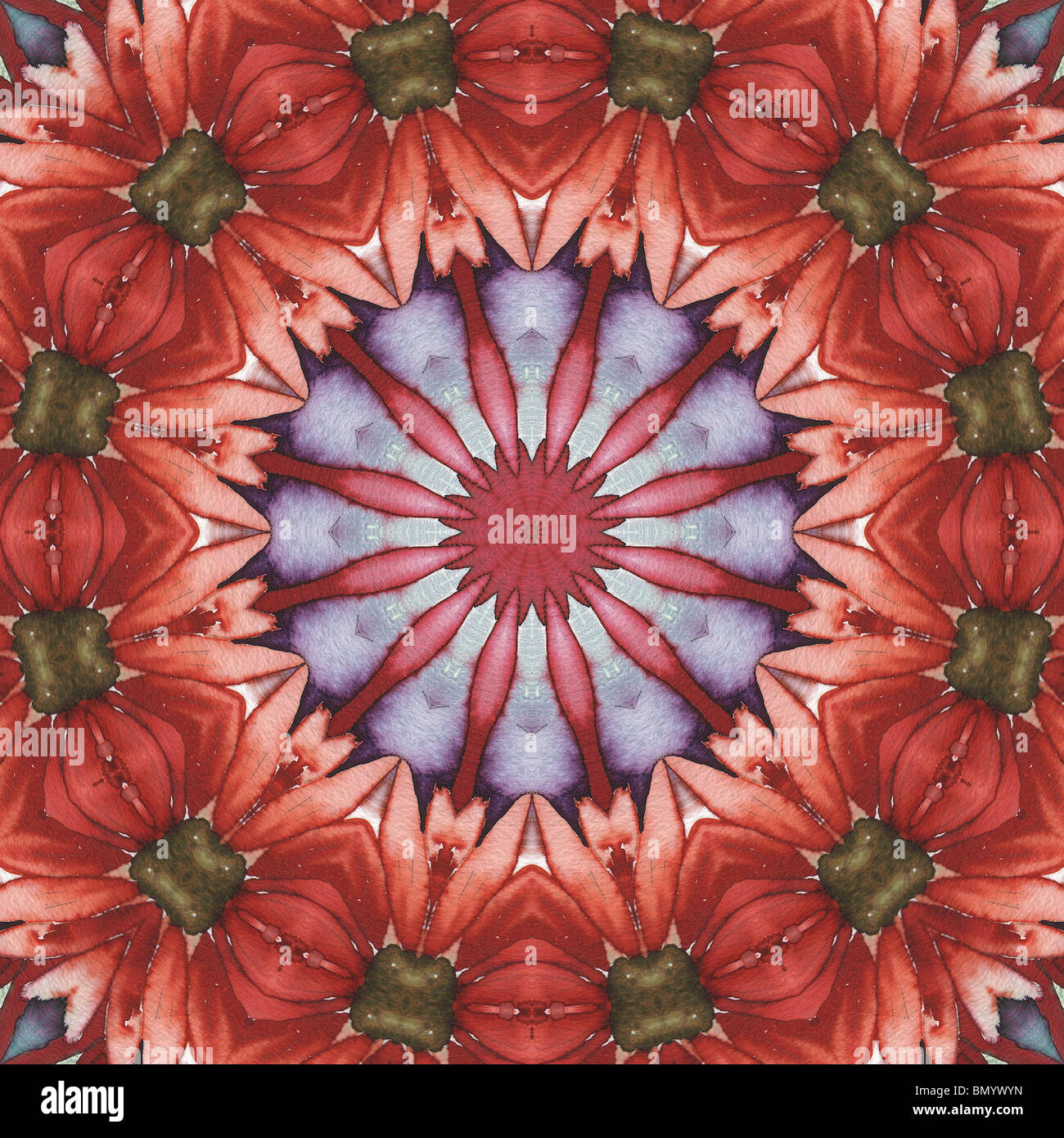 Baroque floral painting hi-res stock photography and images - Alamy