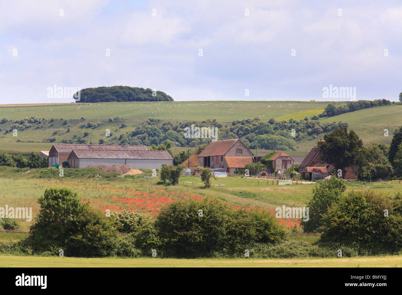 Farm house and barns against hill behind poppy field Stock Photo - Alamy