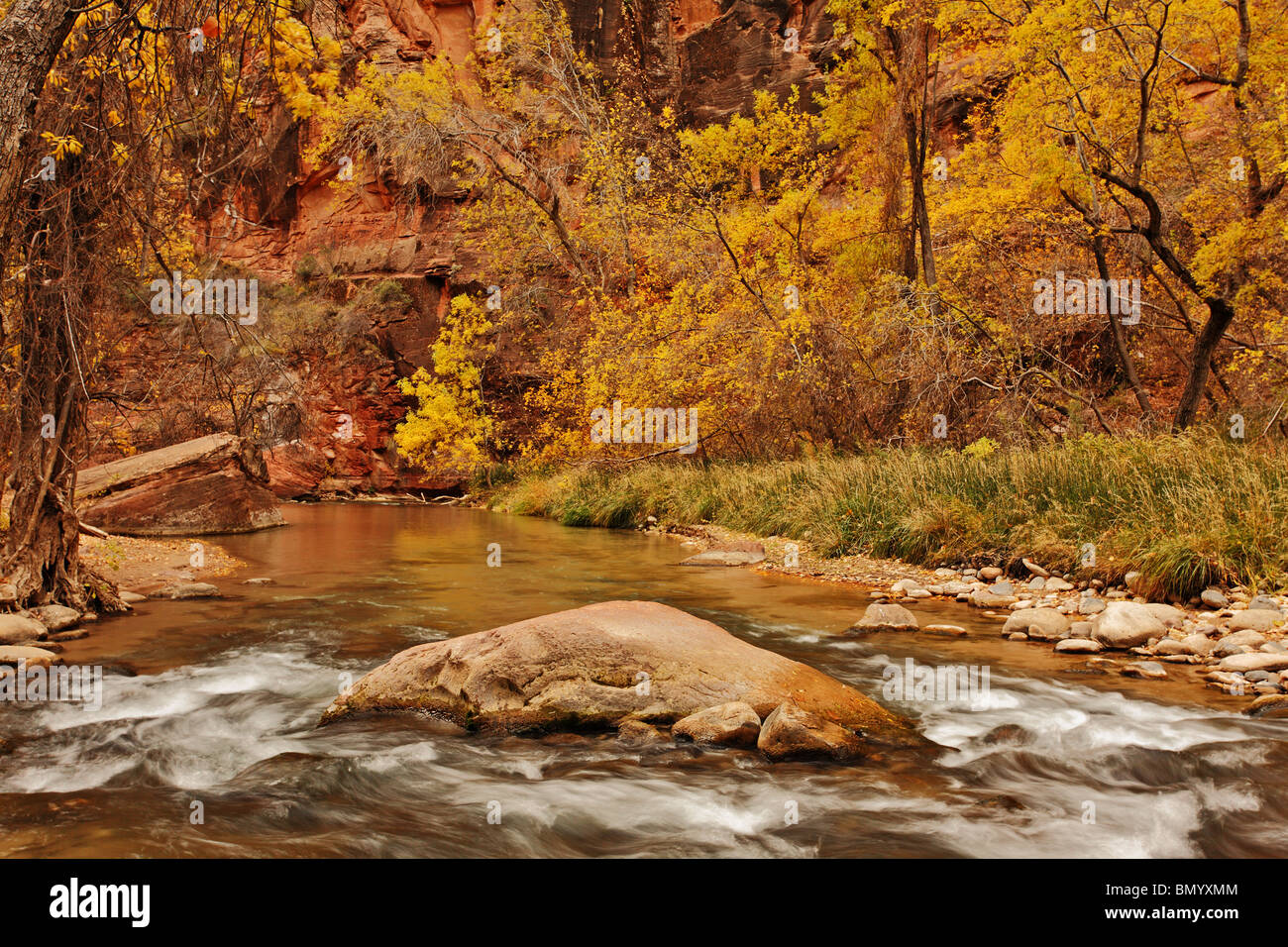 Running river in Zion Stock Photo - Alamy