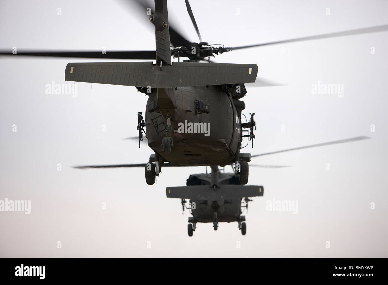 Black hawk hi-res stock photography and images - Alamy