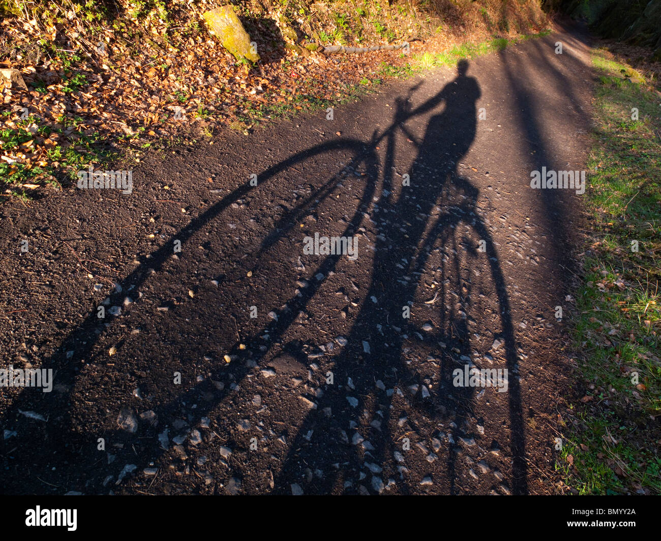 Shadow of cyclist on bicycle trail in late afternoon light Stock Photo ...