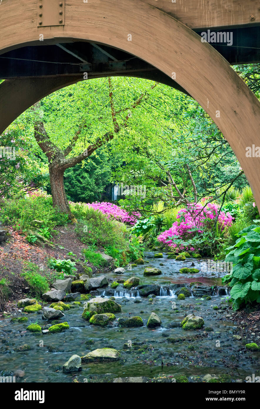 Azaleas hi-res stock photography and images - Alamy