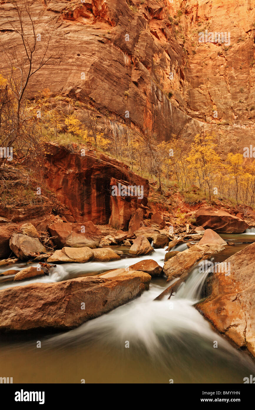 Milky river in Zion Stock Photo - Alamy