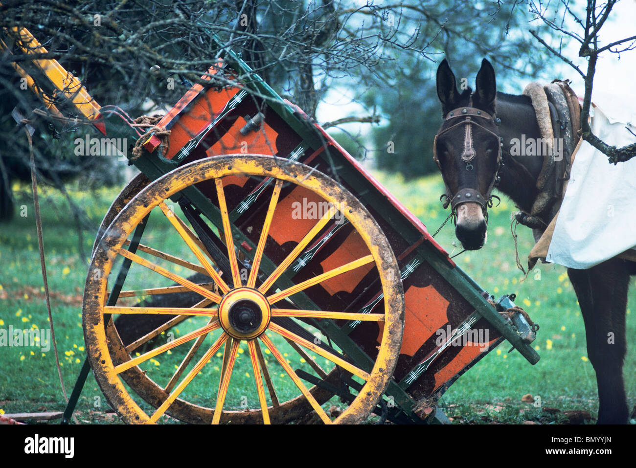Symbolising the old Algarve a cart painted in the traditional style ...
