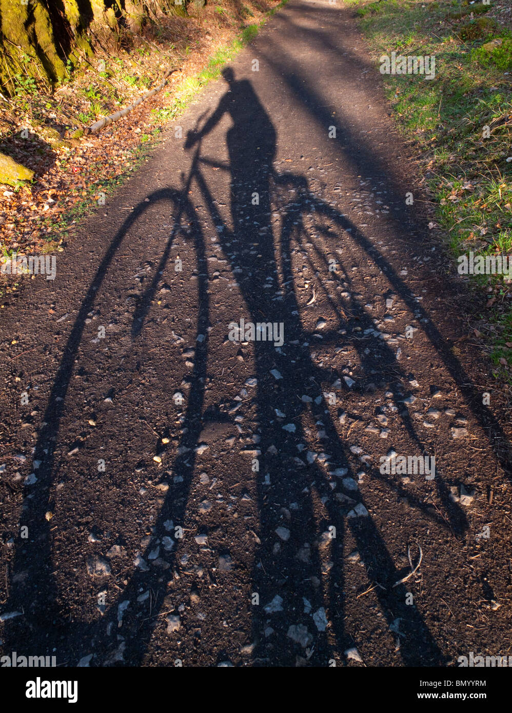 Shadow of cyclist on bicycle trail in late afternoon light Stock Photo ...