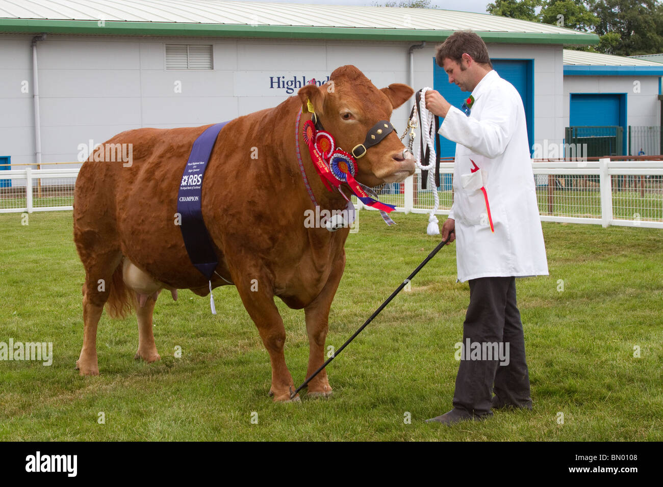 Prize Cattle, animal awards, rosette, ribbon, competition, symbol ...