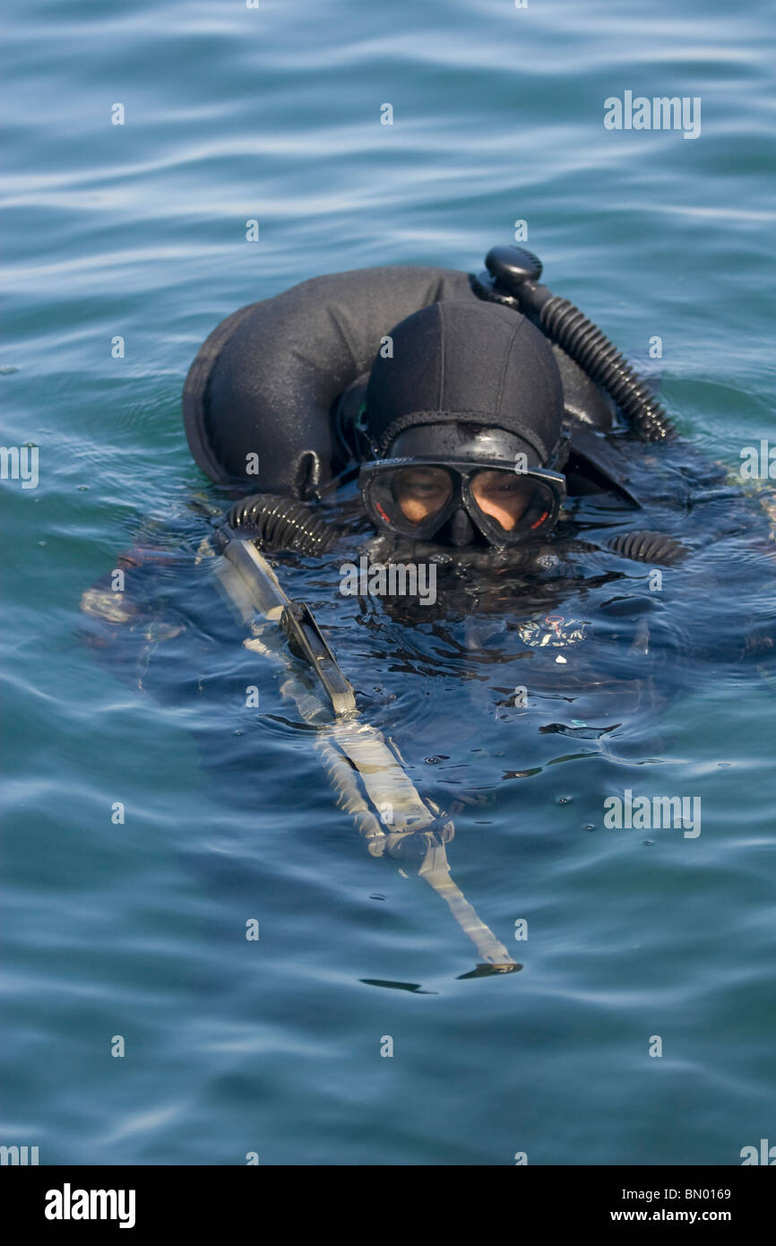 A U.S. Navy SEAL combat swimmer Stock Photo - Alamy