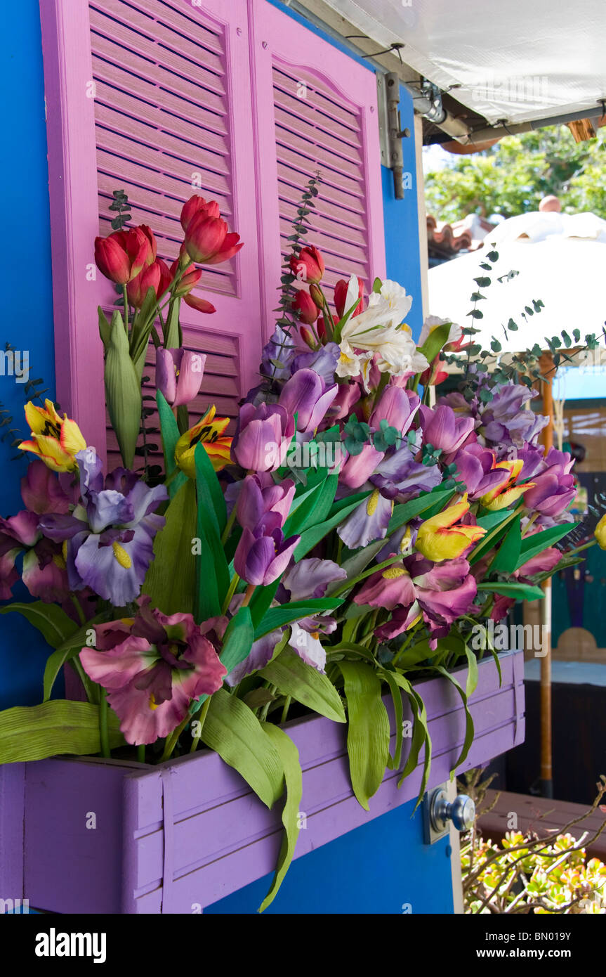 Window with flowers Stock Photo - Alamy