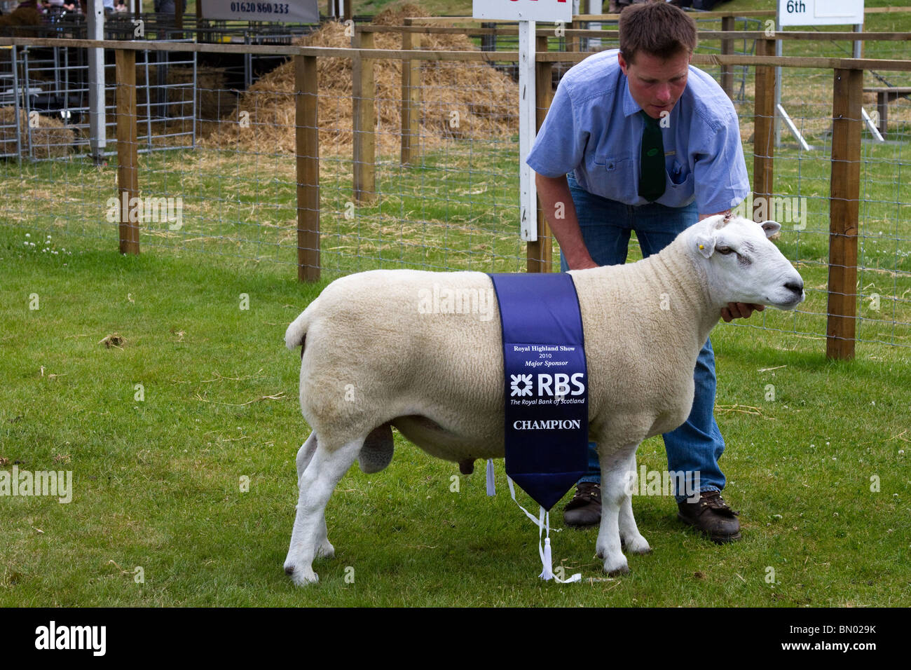 Prize Cards Agricultural Events High Resolution Stock Photography and ...