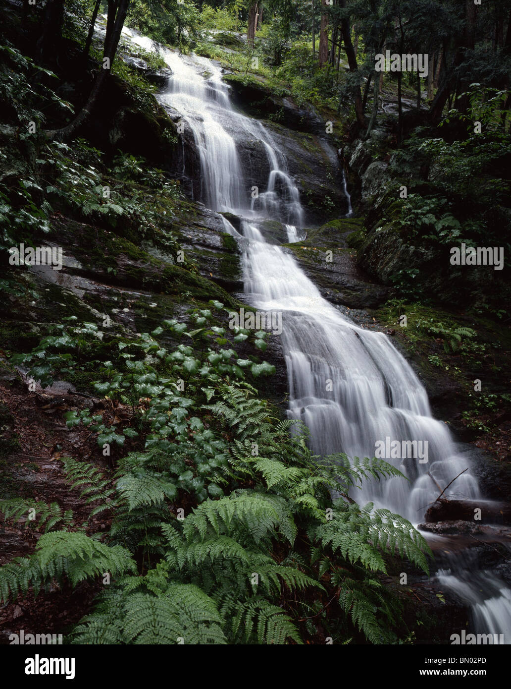Kittatinny mountains new jersey hi-res stock photography and images - Alamy
