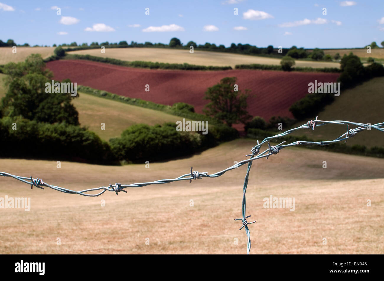 Right to roam Stock Photo - Alamy