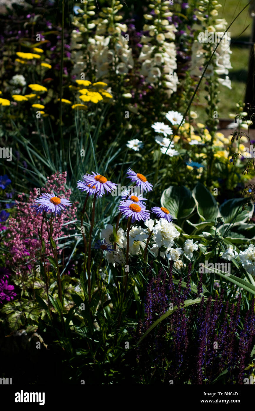 'Catch of the Day' Birmingham Borders show garden at Gardeners' World ...