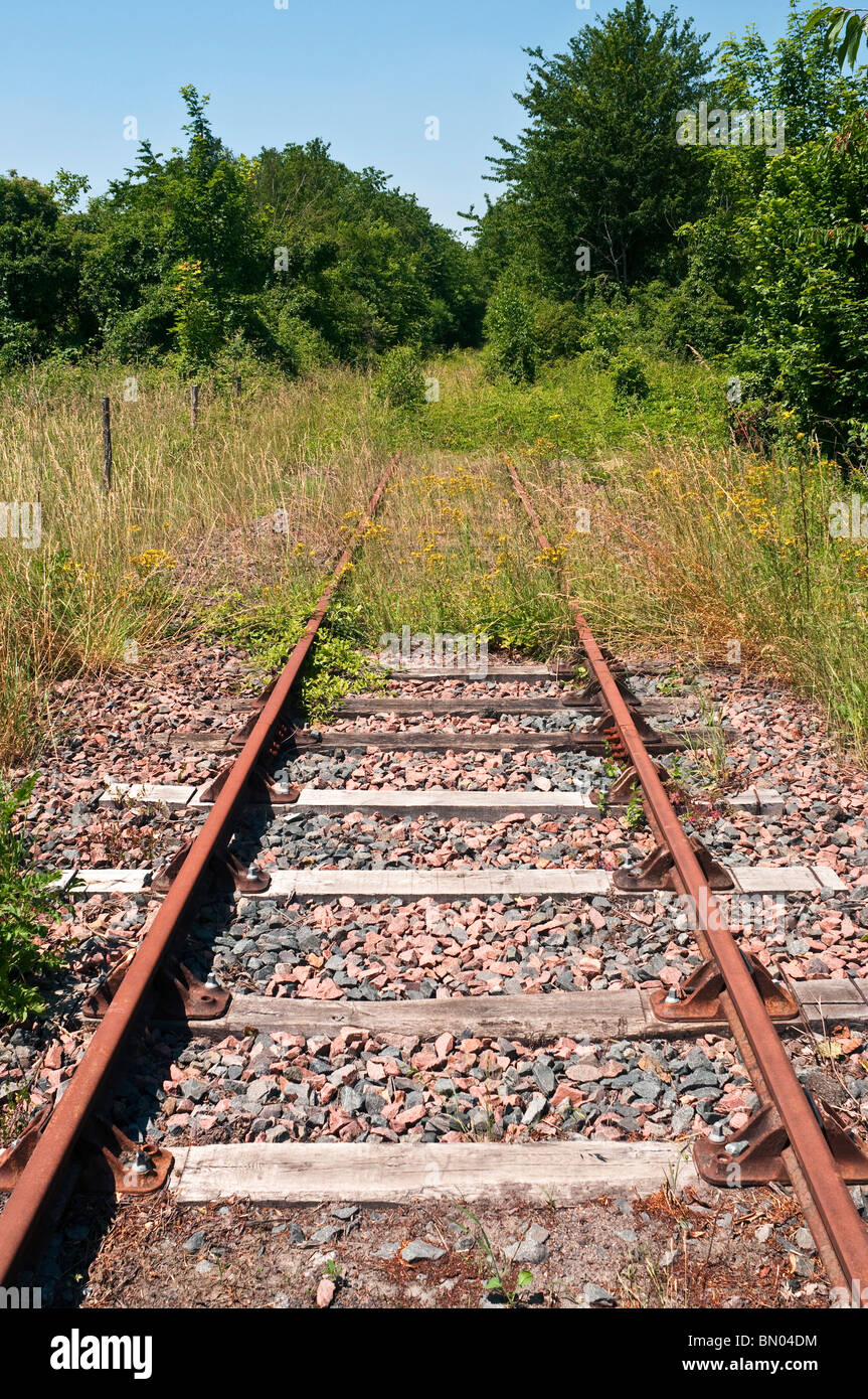 Overgrown Railway Track Stock Photos & Overgrown Railway Track Stock ...