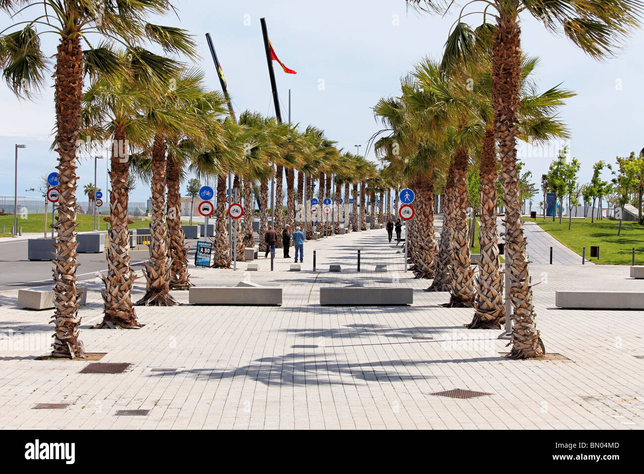 Valencia palm tree hi-res stock photography and images - Alamy