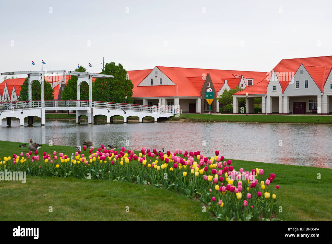Tulip time festival Dutch Holland Michigan in USA US Traditional Dutch ...
