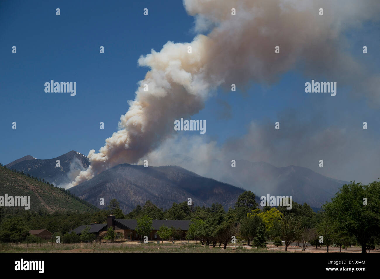 Campfire arizona hi-res stock photography and images - Alamy