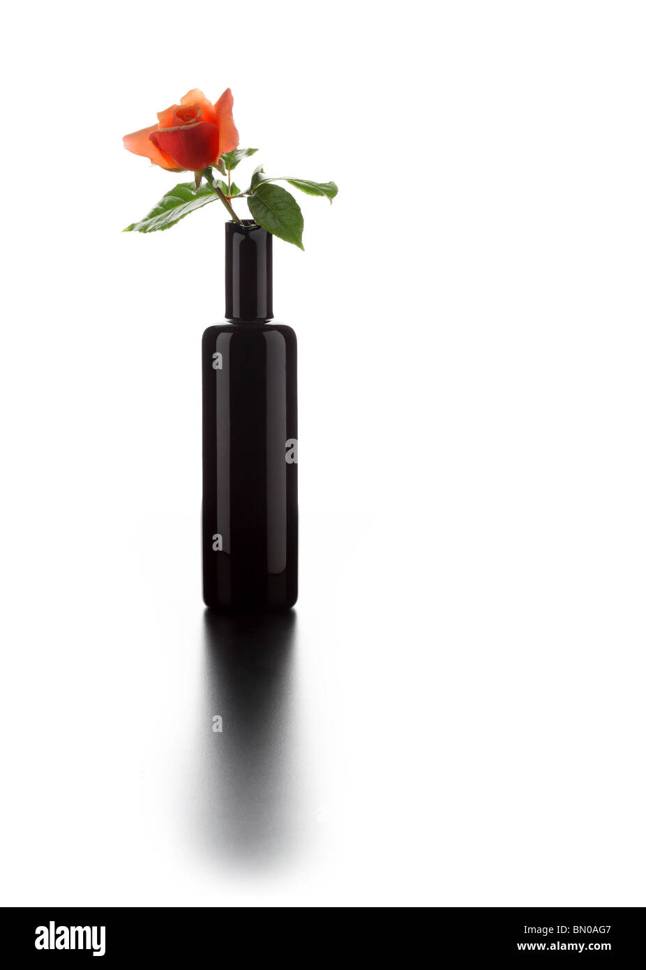 Rose three flower head leaf hi-res stock photography and images - Alamy