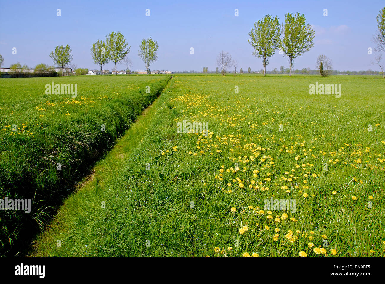 Padan plain hi-res stock photography and images - Alamy