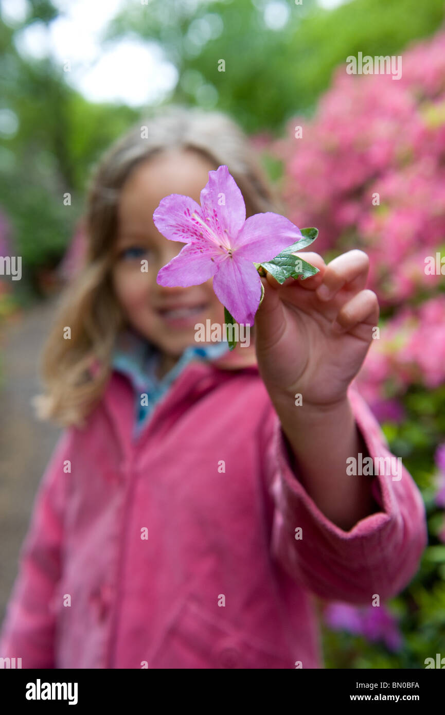 A 5 year old girl looking at azalea flowers in the Isabella plantation ...