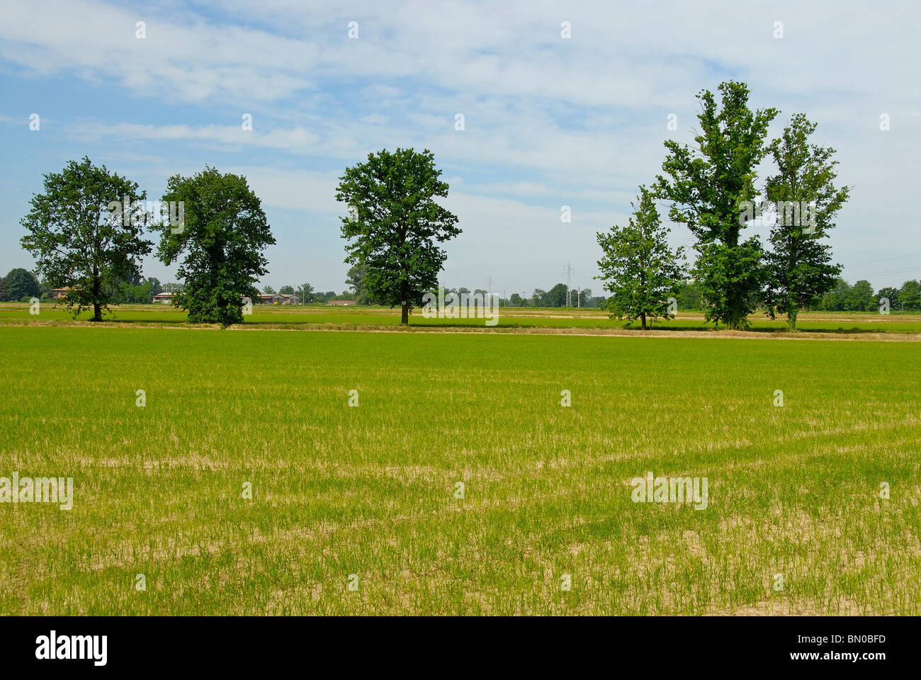 Padan plain hi-res stock photography and images - Alamy