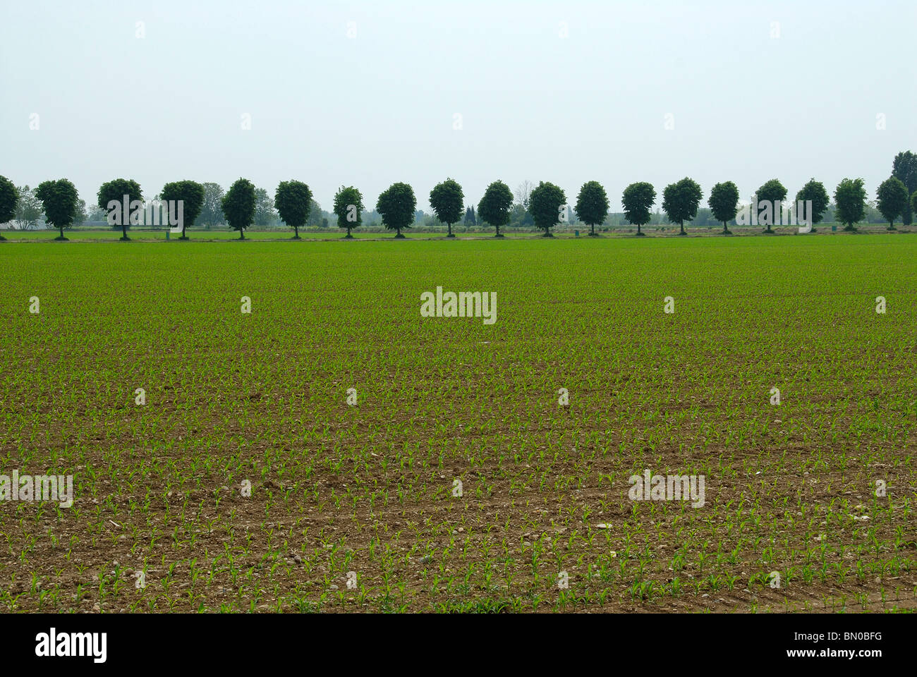 Padan plain hi-res stock photography and images - Alamy
